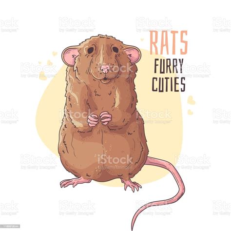 Vector Hand Drawn Illustrations Cute Realistic Rat Stock Illustration