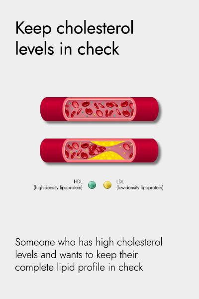 Bp Reduction Program