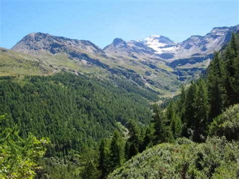 Mapa Grison La Herramienta Esencial Para Tu Próxima Aventura En La Montaña