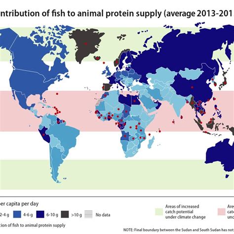Pdf The Role Of Seafood For Sustainable And Healthy Diets The Eat