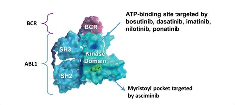 A Novel Treatment Option In Chronic Myeloid Leukaemia Asciminib Bjh