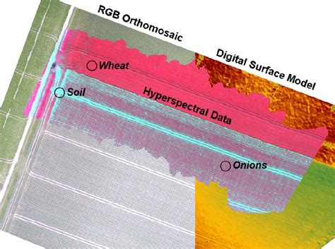 Example Of Drone Based Data Collection From A Combination Of Camera Download Scientific Diagram
