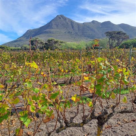 Klein Sering Wines Added A New Photo Klein Sering Wines