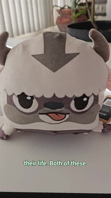 Teeturtle Have You Checked Out The Avatarthelastairbender Plushie Collection Yet 🌊🔥🌿