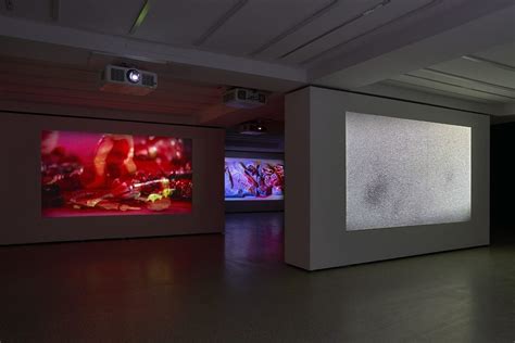 Isabelle Cornaro Infans The Fondation Dentreprise Pernod Ricard