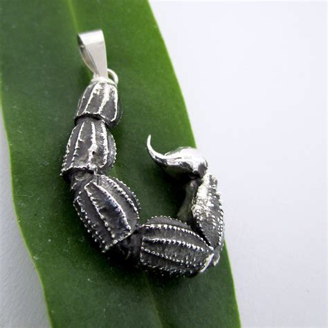 Scorpion Tail Pendant Solid Sterling Silver Evolution Jewels Touch Of Modern