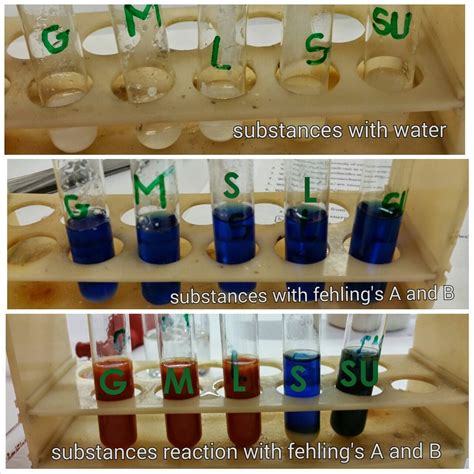 Lizas Science Lab E Notebook L6 Fehlings Test Reducing Sugars