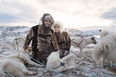 Den Grønlandske Slædehund Grønlandshund Greenland Travel Dk