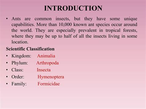 Ants Social Organisation And Types Of Nests Pdf Reproductive Health Diseases And Conditions