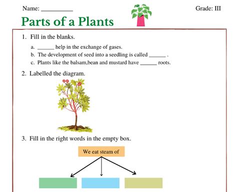 Parts Of Plants In Hindi And English Worksheet