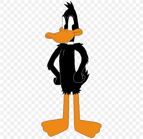 Daffy Duck Plucky Duck Looney Tunes Cartoon Png 356x800px Duck