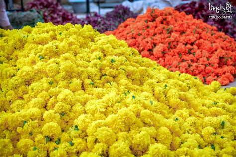 Thovalai Flower Market Thovalai Kanyakumarians