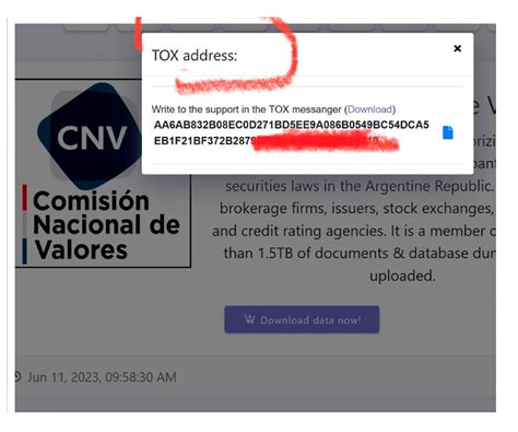 ciberataque a la cnv los hackers publicaron los datos robados en la