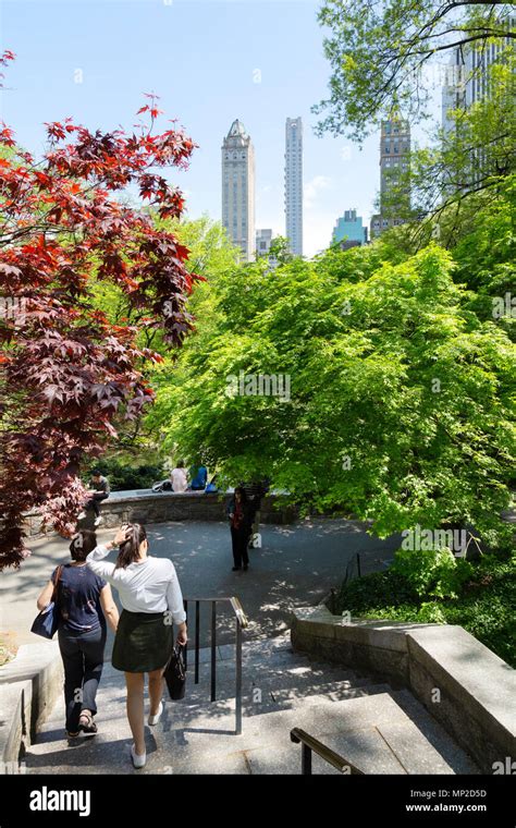 Central Park New York People Walking In Spring Central Park New