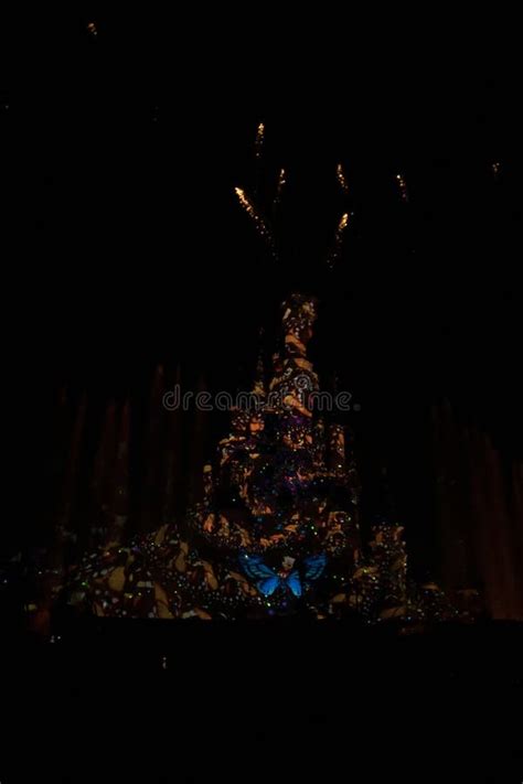 Disney Illuminations Editorial Photography Image Of Park 335122267