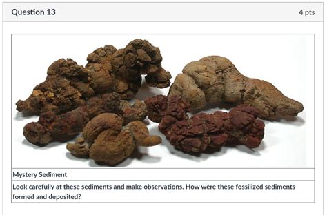 Solved Look Carefully At These Sediments And Make