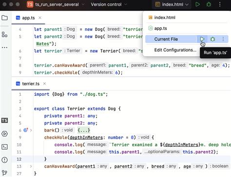 运行和调试 Typescript Intellij Idea 文档