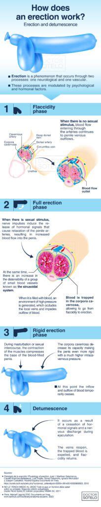 Sexual Intercourse Process Pictures