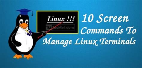 20 Screen Command Examples To Manage Linux Terminals Tecmint Linux