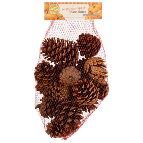 Save On Limited Time Originals Pine Cones Pumpkin Spice Scented Order
