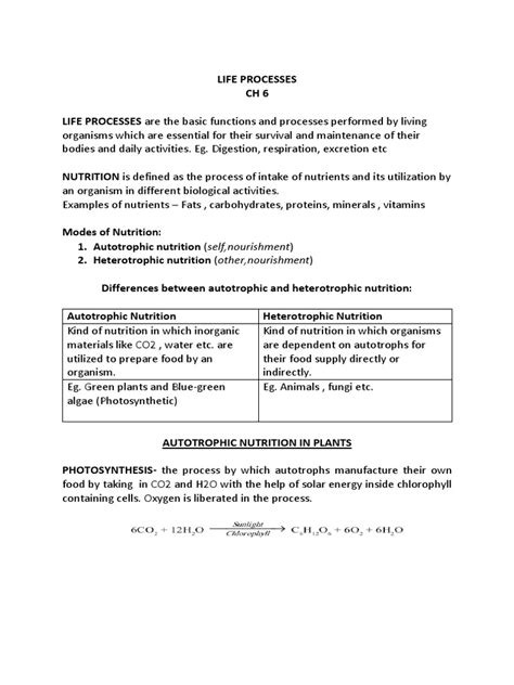 Ch Life Process 20230715151732055 Pdf