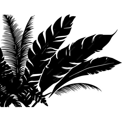 Conjunto De Plantillas De Vectores En Blanco Y Negro De Hoja De Plátano