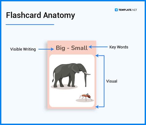 Flashcard What Is A Flashcard Definition Types Uses Free