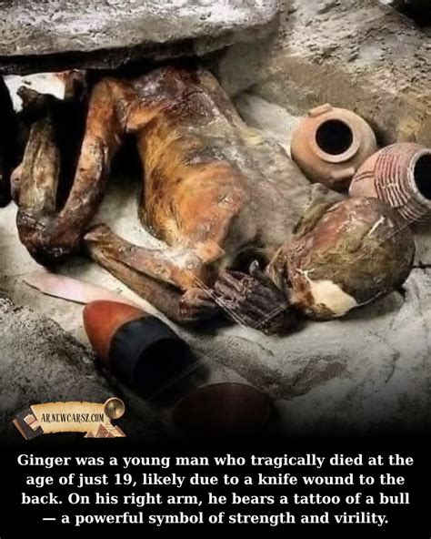 Archeology Ginger” The Oldest Known Egyptian Mummy Nicknamed