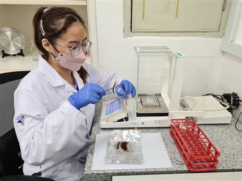Uncovering The Science Behind Forensic Toxicology Hair Analysis Nus