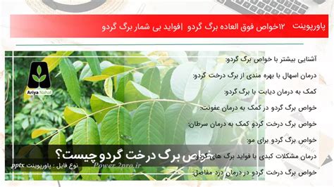 دانلود پاورپوینت 12 خواص فوق العاده برگ گردو فواید بی شمار برگ گردو