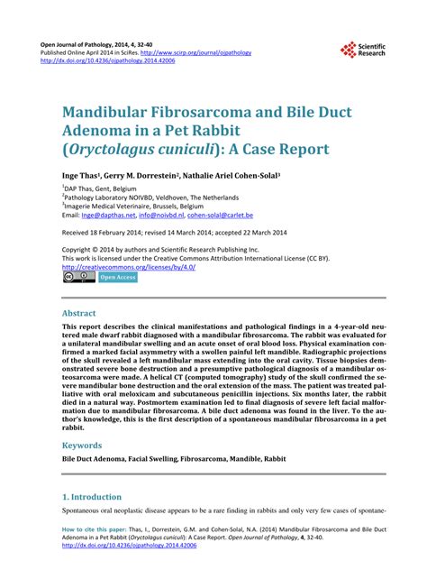 Pdf Mandibular Fibrosarcoma And Bile Duct Adenoma In A Pet Rabbit
