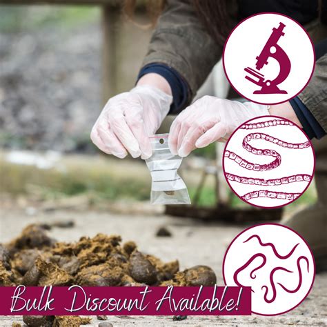 Horse Worm Count Pin Worm And Equisal Tape Worm Test Kit Efecs Ltd