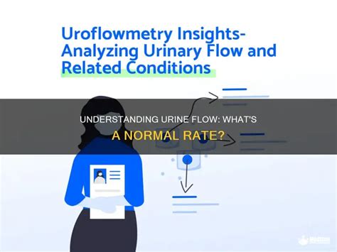 Understanding Urine Flow Whats A Normal Rate Medshun