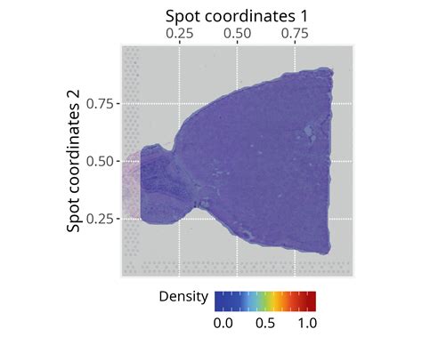 Visualizing Spatial Transcriptomics