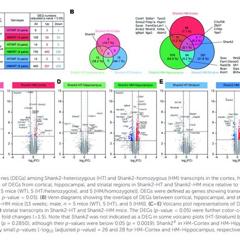 Synaptic Gene Ontologies Syngo And Protein Protein Interaction Ppi Download Scientific
