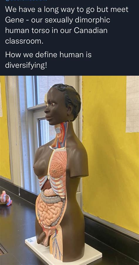 Post 5746425 Biology Figurine Inanimate