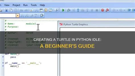 Creating A Turtle In Python Idle A Beginners Guide Petshun