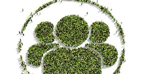 Our People Deloitte Lithuania