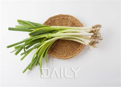 데일리 혈관 청소해주고 잠도 잘 자게 해주는 채소 푸드 채소파대파파종류대파맛쪽파피효능대파효능파기름혈관청소
