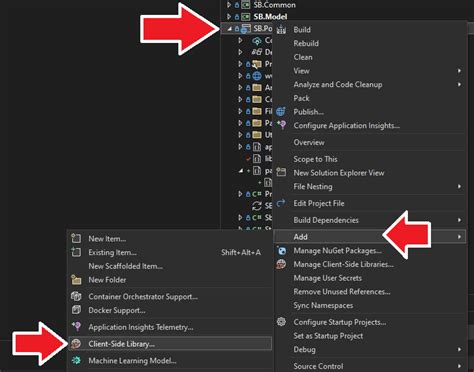 Asp Net How To Use NPM And Install Packages Inside Visual Studio 2017