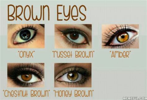 Types Of Brown Eyes Color Chart At Darnell Johnson Blog