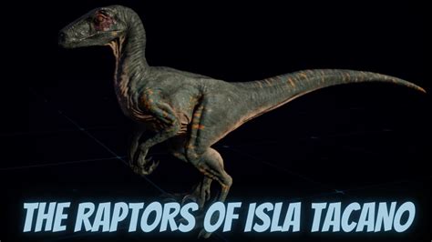 The Raptors Of Isla Tacano Youtube