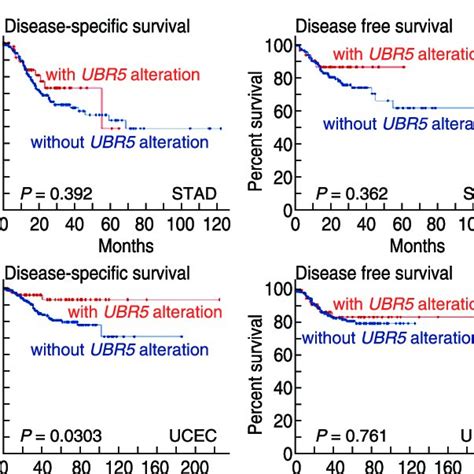 Genetic Features Of Mutations Of Ubr5 In Different Tumors Cbioportal