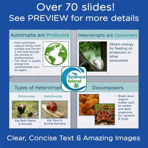 The Biosphere Powerpoint Notes And Videos Science Island