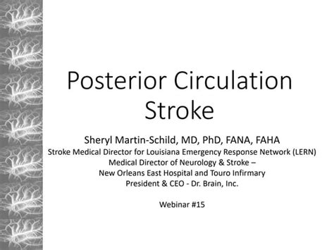 15 Posterior Circulation Stroke Neurologypdf Pdf