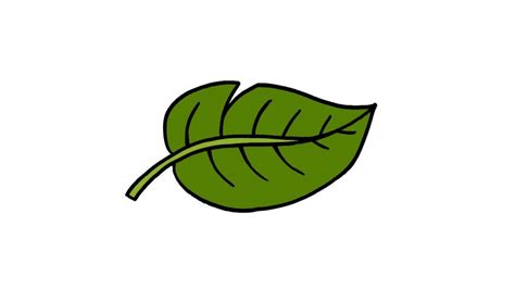 How To Draw A Leaf Step By Step Hand Of Art