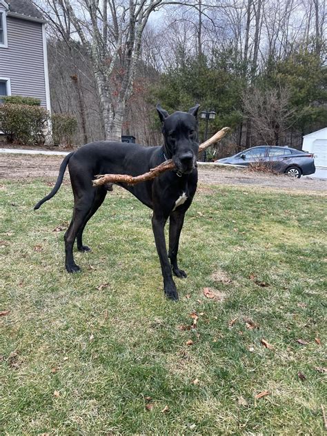 Gallery Victoriac 07 Vsco