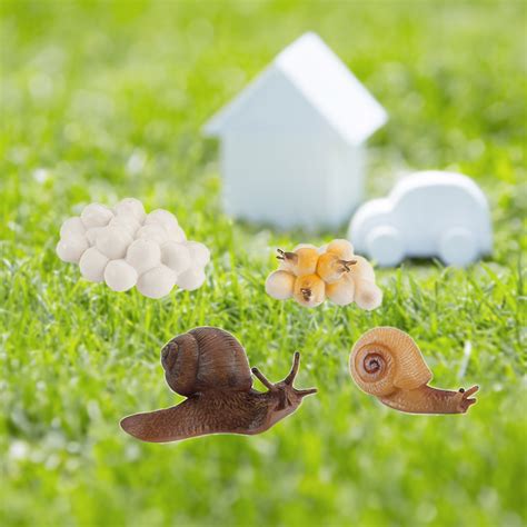 Lifelike Insects Grasshopper Snail Growth Figure Grandado