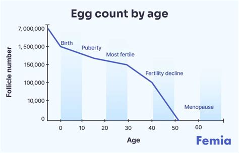 How Does A Female Egg Look Like