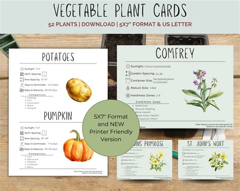 Printable Chic Vegetable Labels Printable Garden Labels Etsy Canada